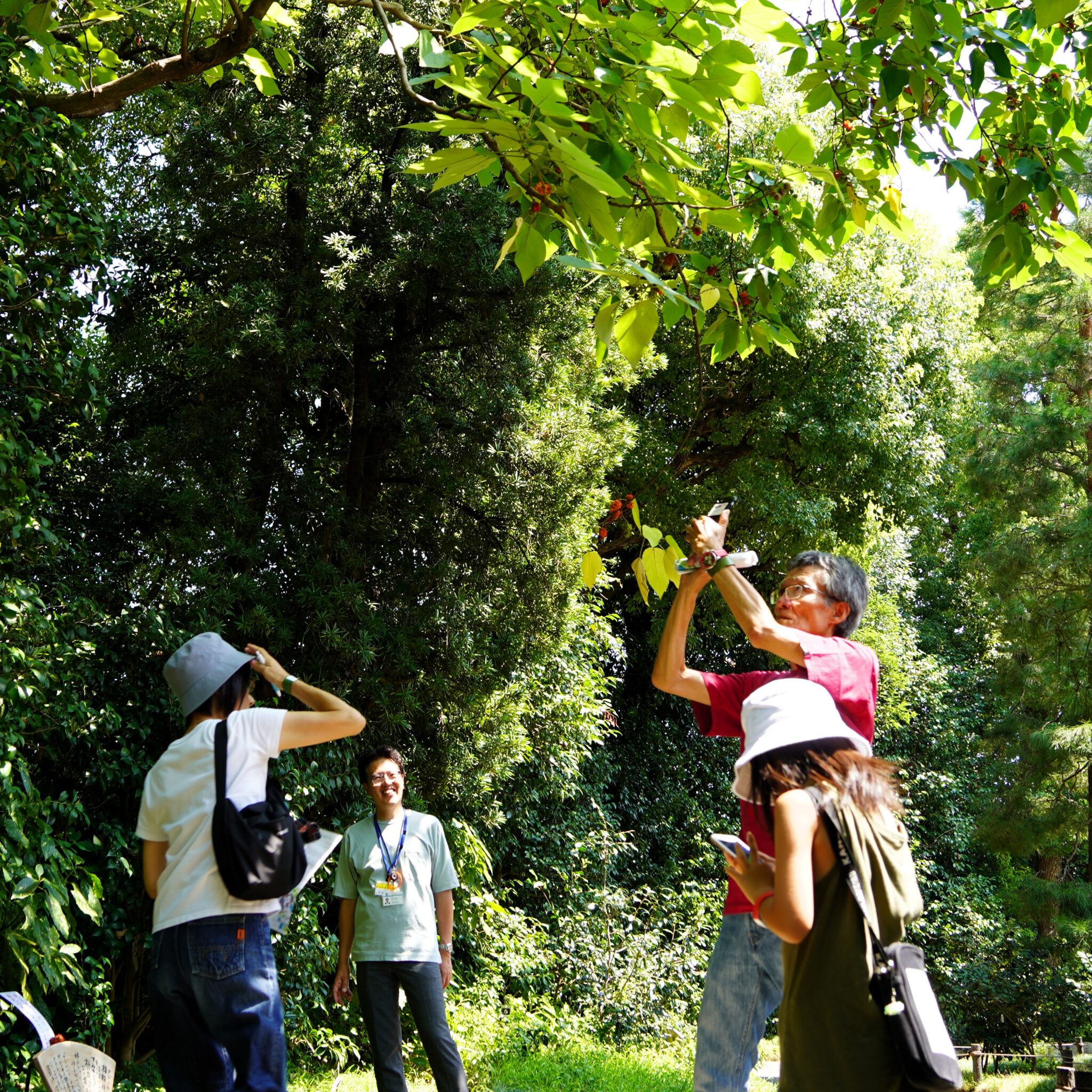 「城南宮の魅力を知ってほしい！」想いを実現するプロジェクト - ICHIOSHI - 京信のいちおし | 京都信用金庫の取組紹介ページ