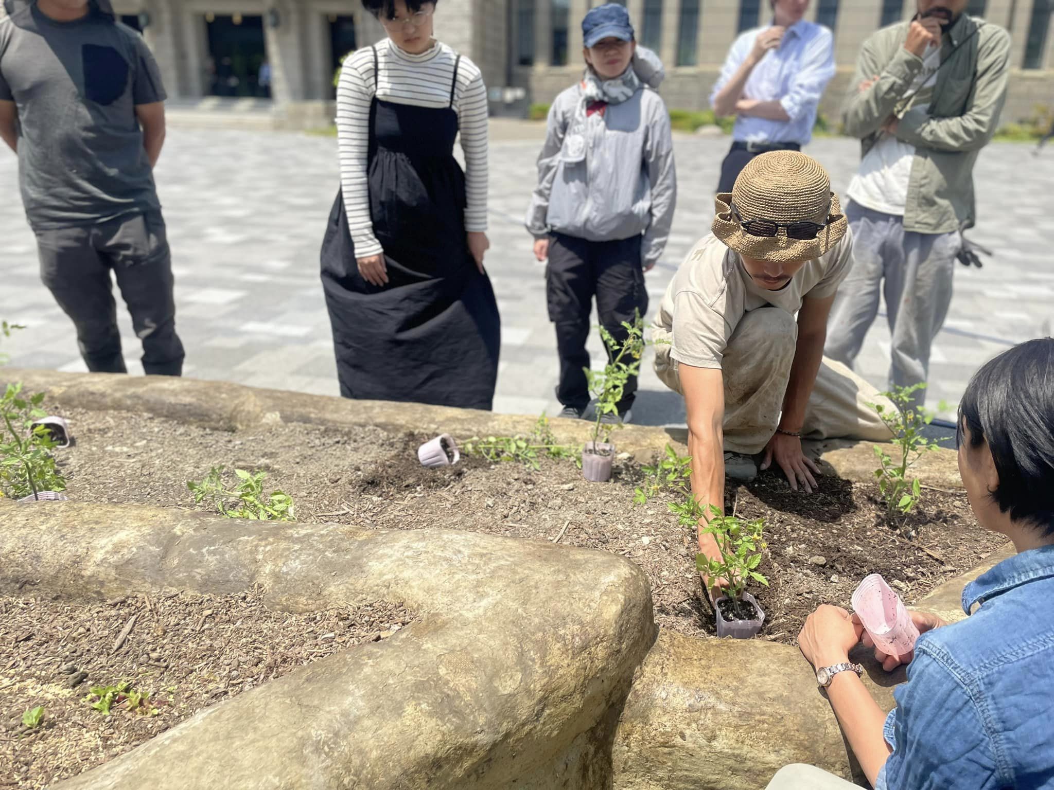 市役所前にひろがる新たな光景「小さな芝生広場の実験」 - ICHIOSHI - 京信のいちおし | 京都信用金庫の取組紹介ページ
